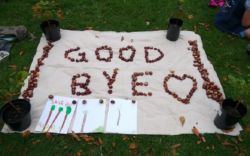 Goodbye to the trees: Wandsworth Council spend more than £20,000 on ...