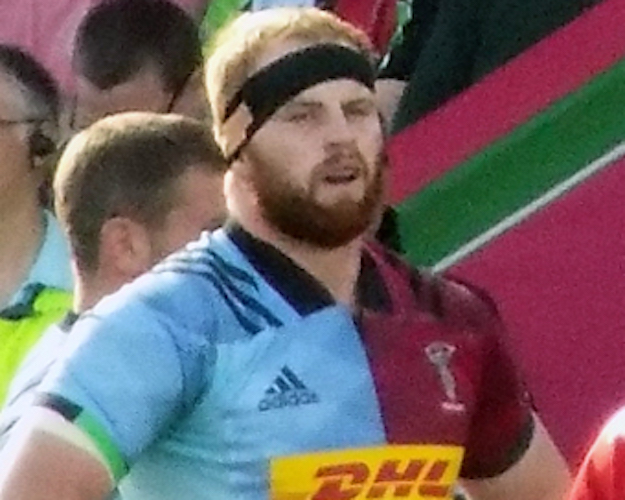 Hit the books - Harlequins' James Chisholm using downtime to study for ...