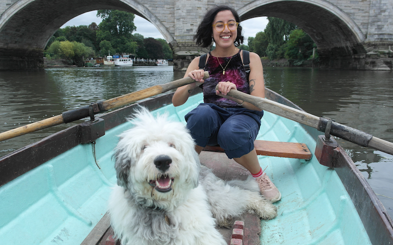 Last chance for doggy paddle: take to the Thames with dog-friendly ...