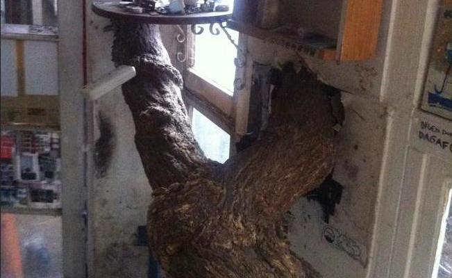 Treehouse of horror: Unscrupulous Clapham landlord rents ‘appalling and ...