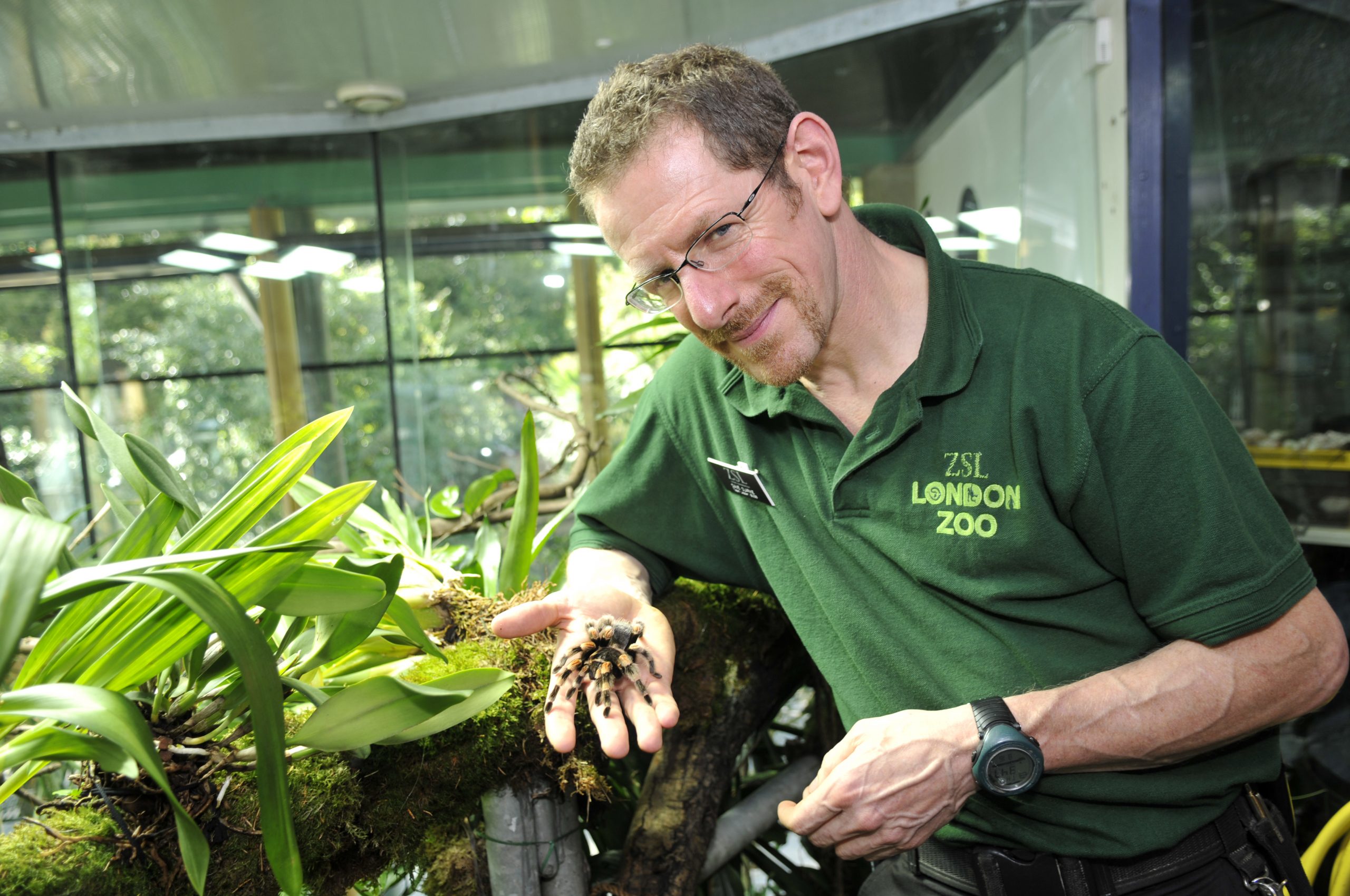 Friendly Spider Programme: Putting a positive spin on arachnophobia ...