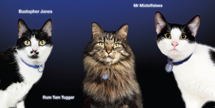 Cats The Musical Bustopher Jones