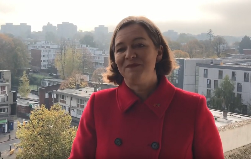 'I'm a bit of a bolshy person' - Labour candidate Fleur Anderson on why ...