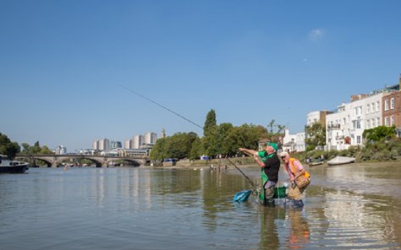Season changes on Thames could see more youngsters take up fishing ...