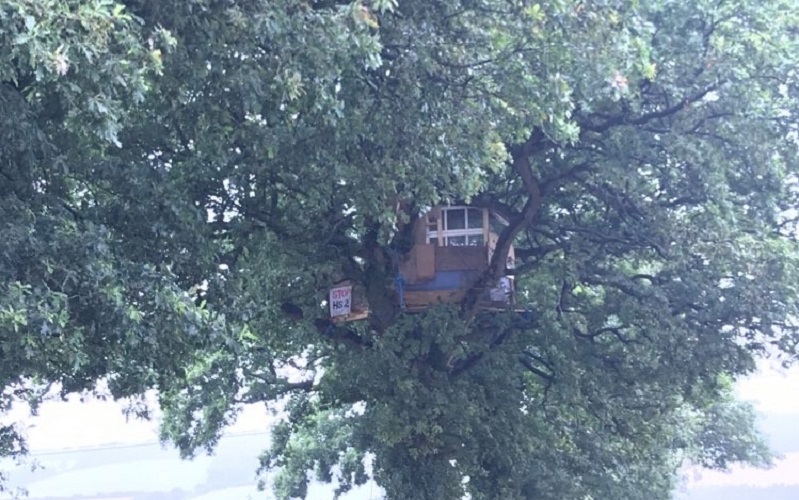 Colliding worlds of a HS2 activist: the real life stories among the trees