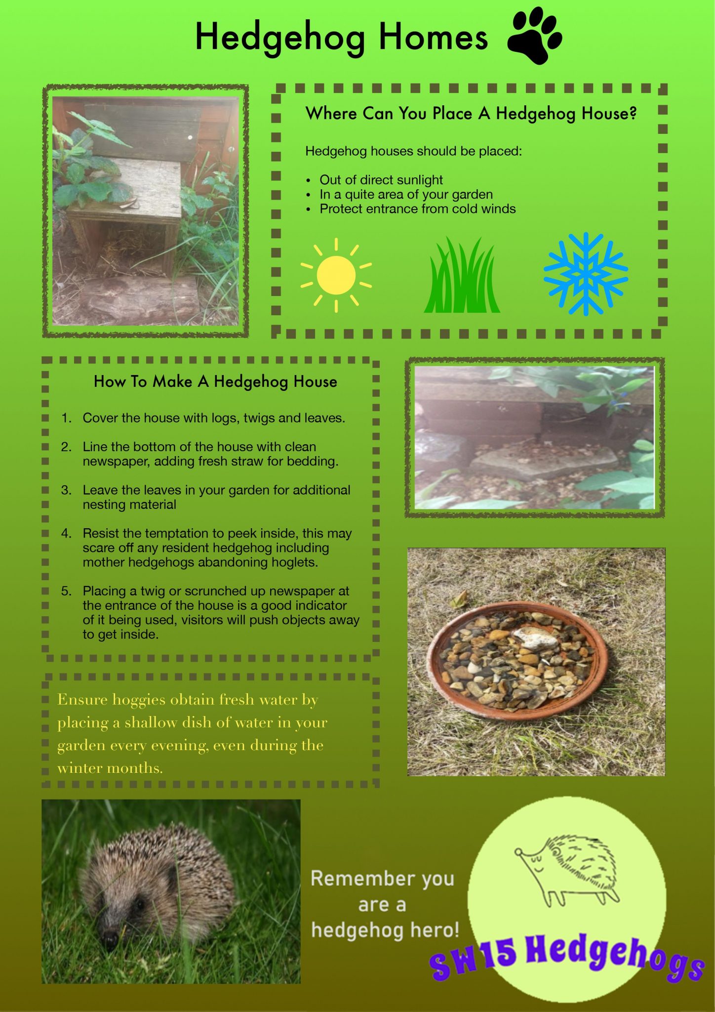 Save the hedgehogs! Putney campaigners secure hedgehog road signs to ...