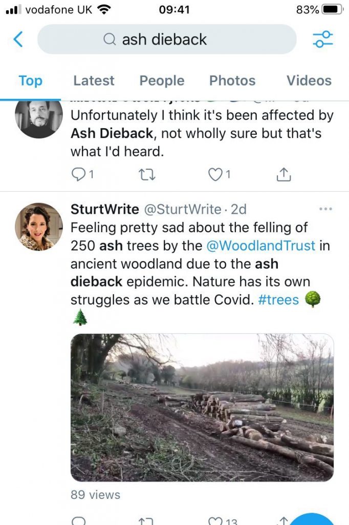 TREEMENDOUS LOSS: 125 million ash trees face extinction by deadly fungus