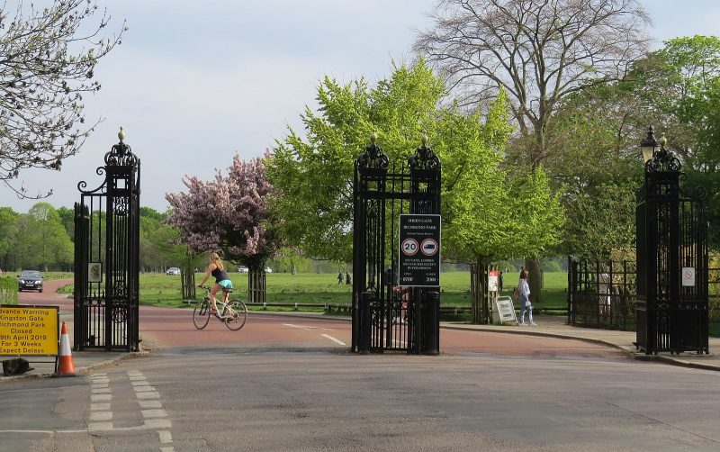Royal Parks retains car reduction plan for a another year