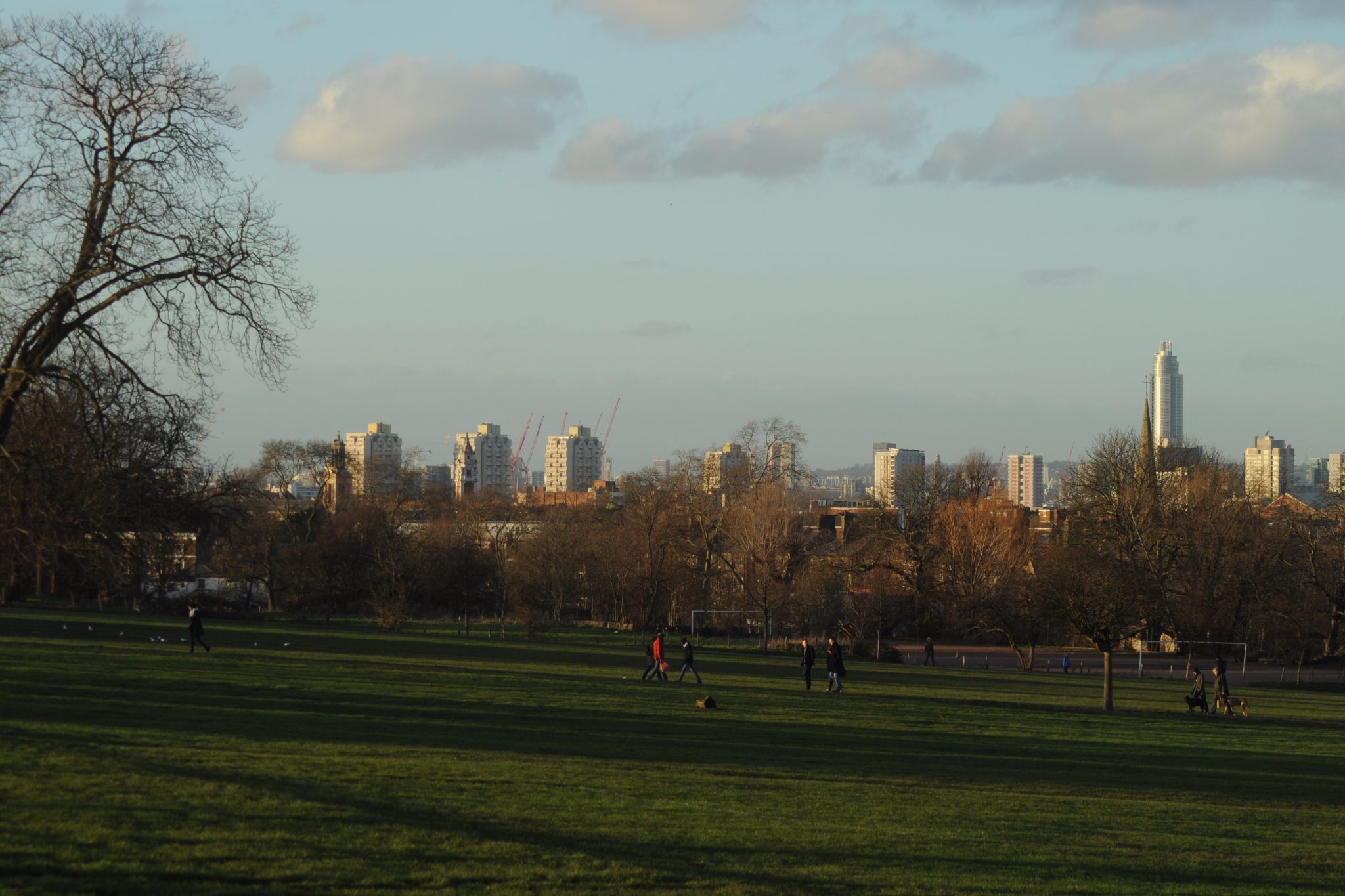 Branch from 600-year-old Brockwell Park oak tree to be turned into ...