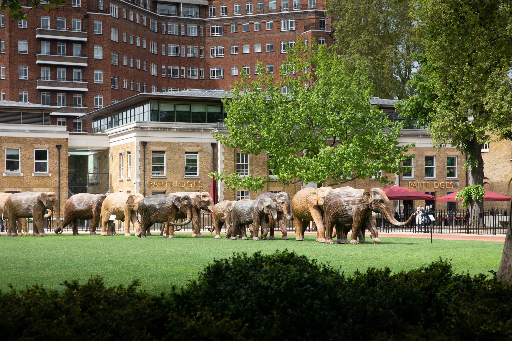 Last chance to see herd of elephants in Chelsea