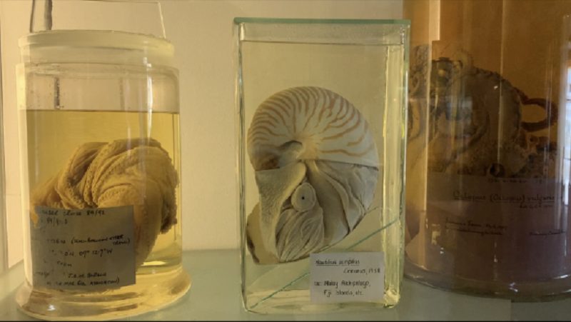 The Natural History Museum’s spirit collections are open to tours from ...