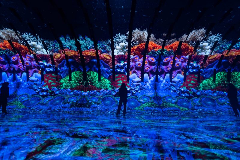‘The Blue Paradox’: immersive experience on ocean plastic crisis comes ...