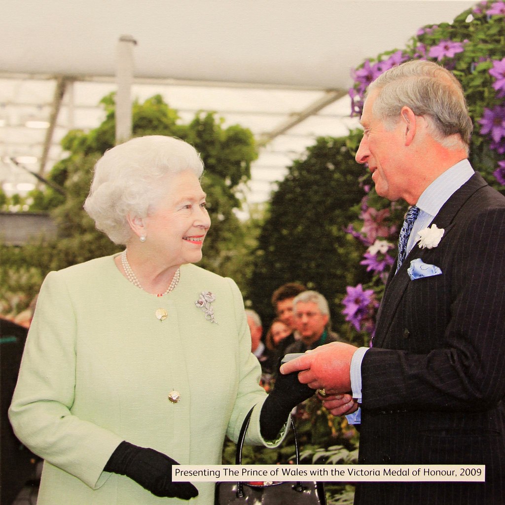 The Queen: What we can learn about the monarch's life from her body ...