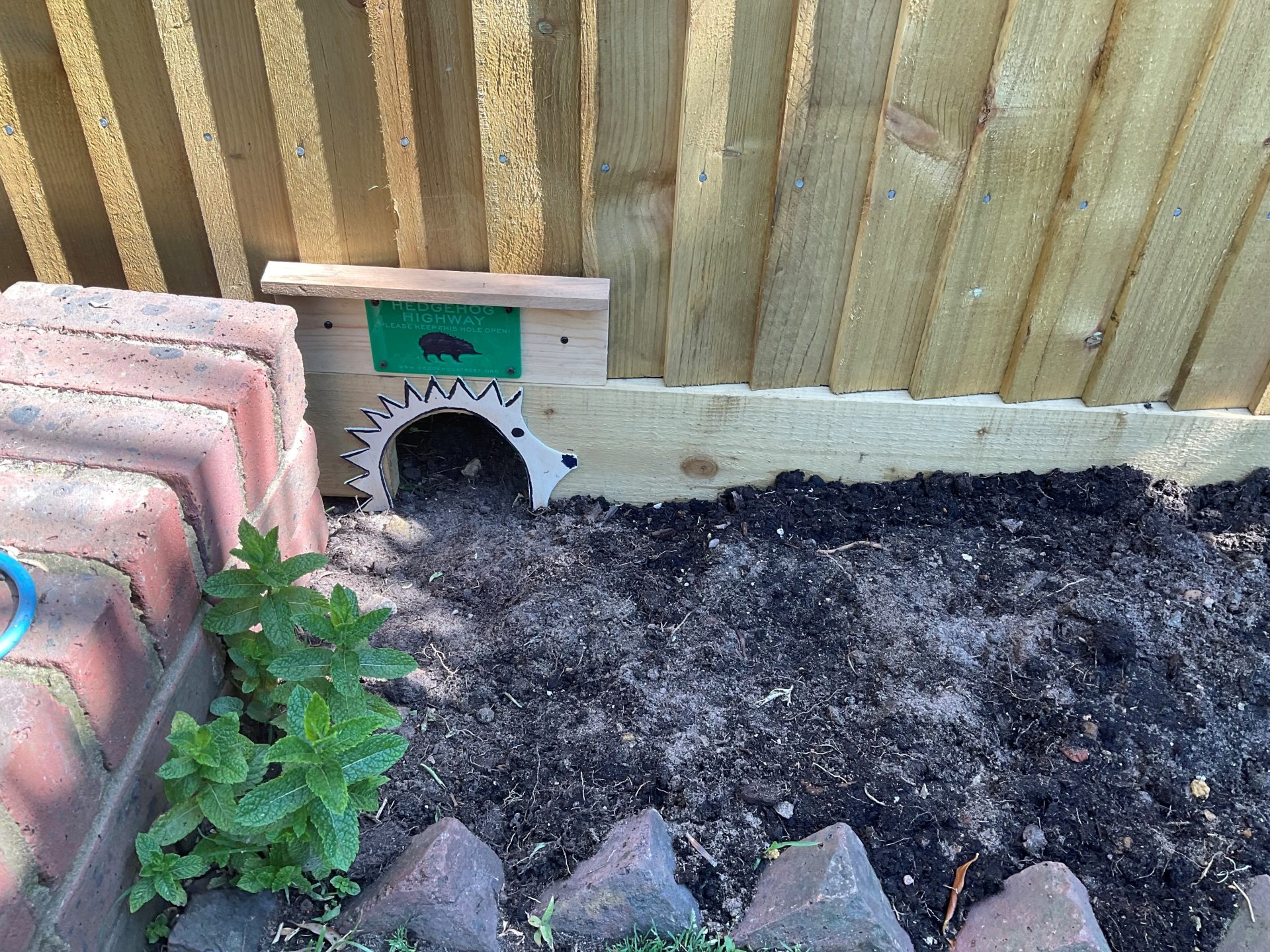 Wildlife charities search for Britain’s Biggest Hedgehog Street