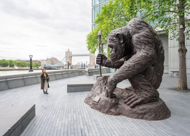 Chimps Are Family exhibition is coming to Kingston