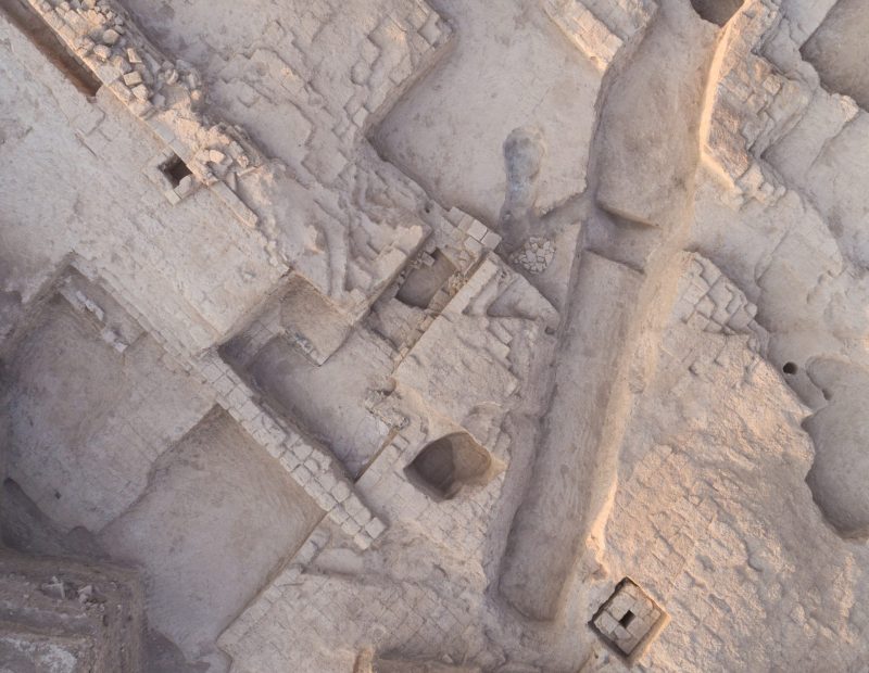 Archaeological project led by British Museum discovers remains of ...