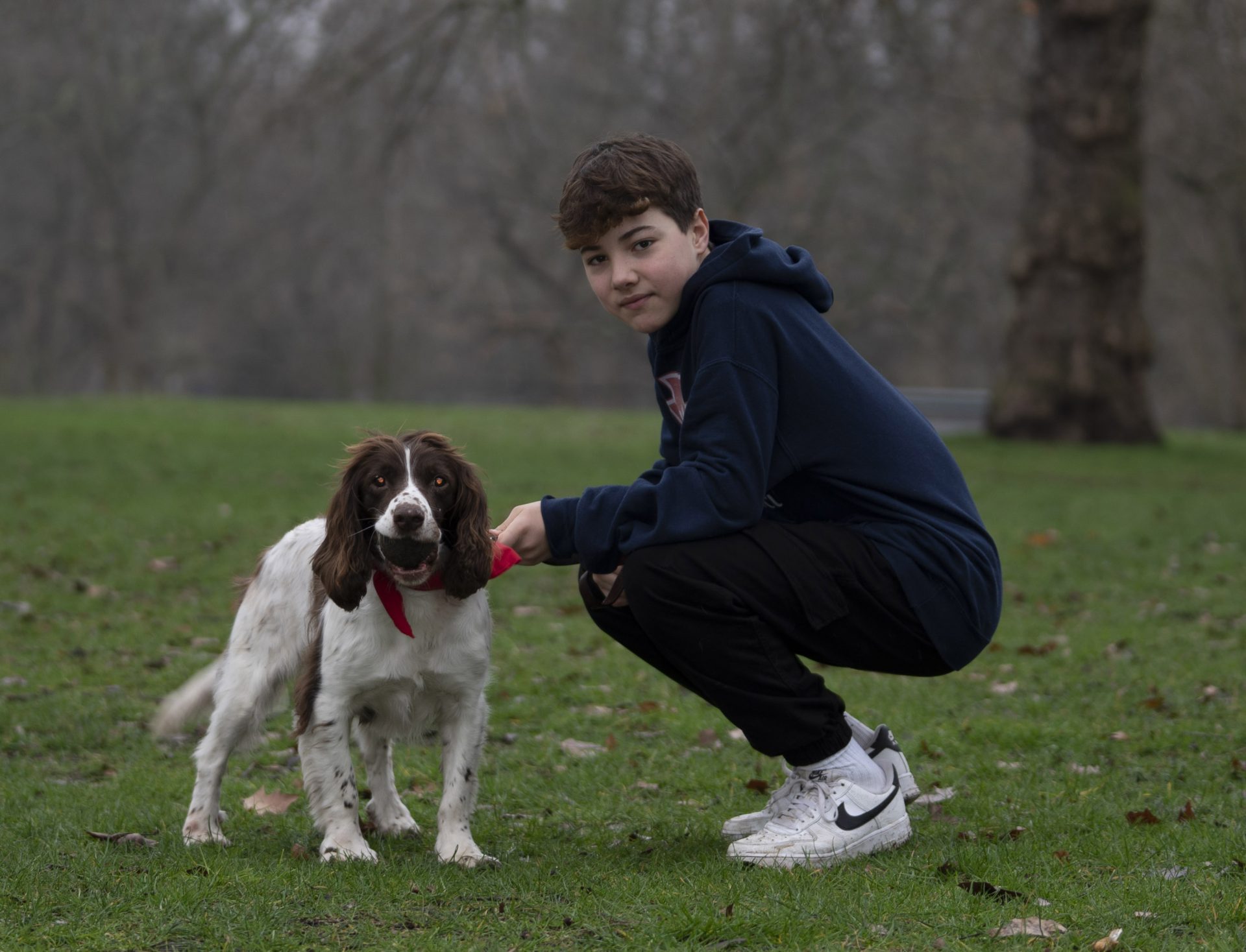 Five incredible dogs unveiled as finalists in Crufts Hero Awards