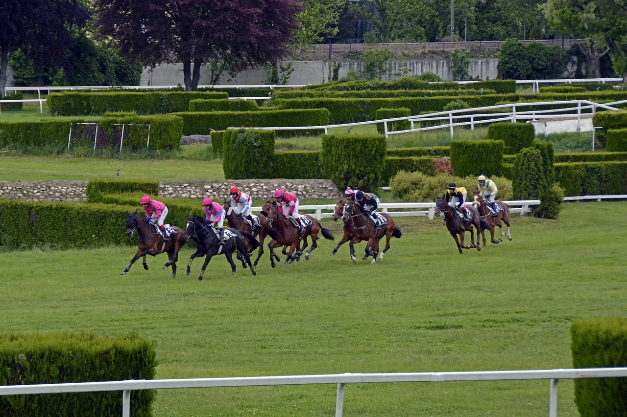 The 5 Best Horse Racing Tracks In and Around London