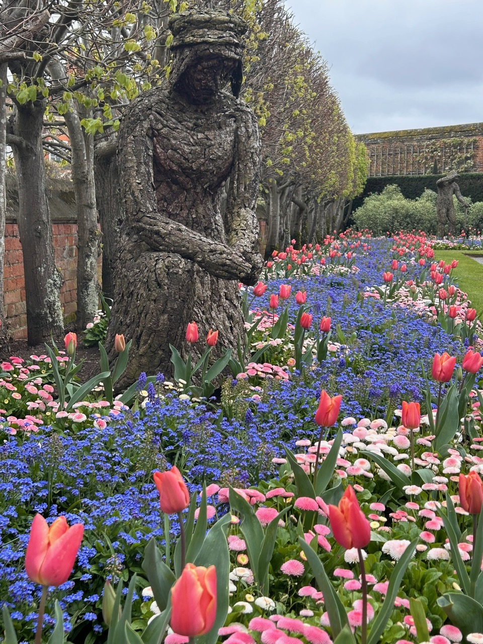 Tulips in bloom at Hampton Court Palace | South West Londoner