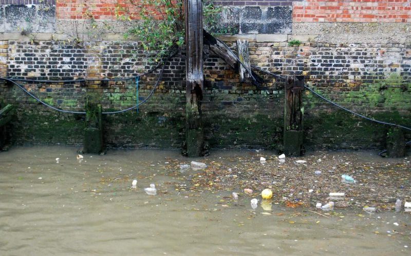 Rowers along Thames frequently ill from dirty water