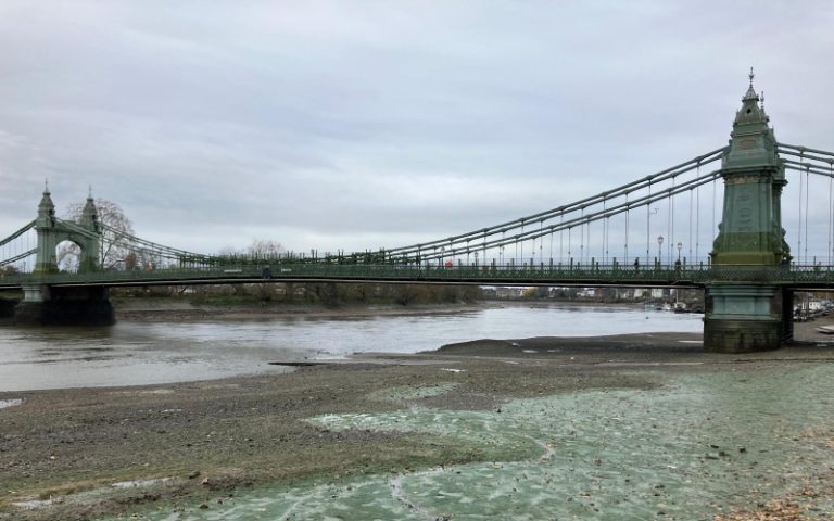 Thames fish biodiversity rising but sewage can slow recovery | South ...