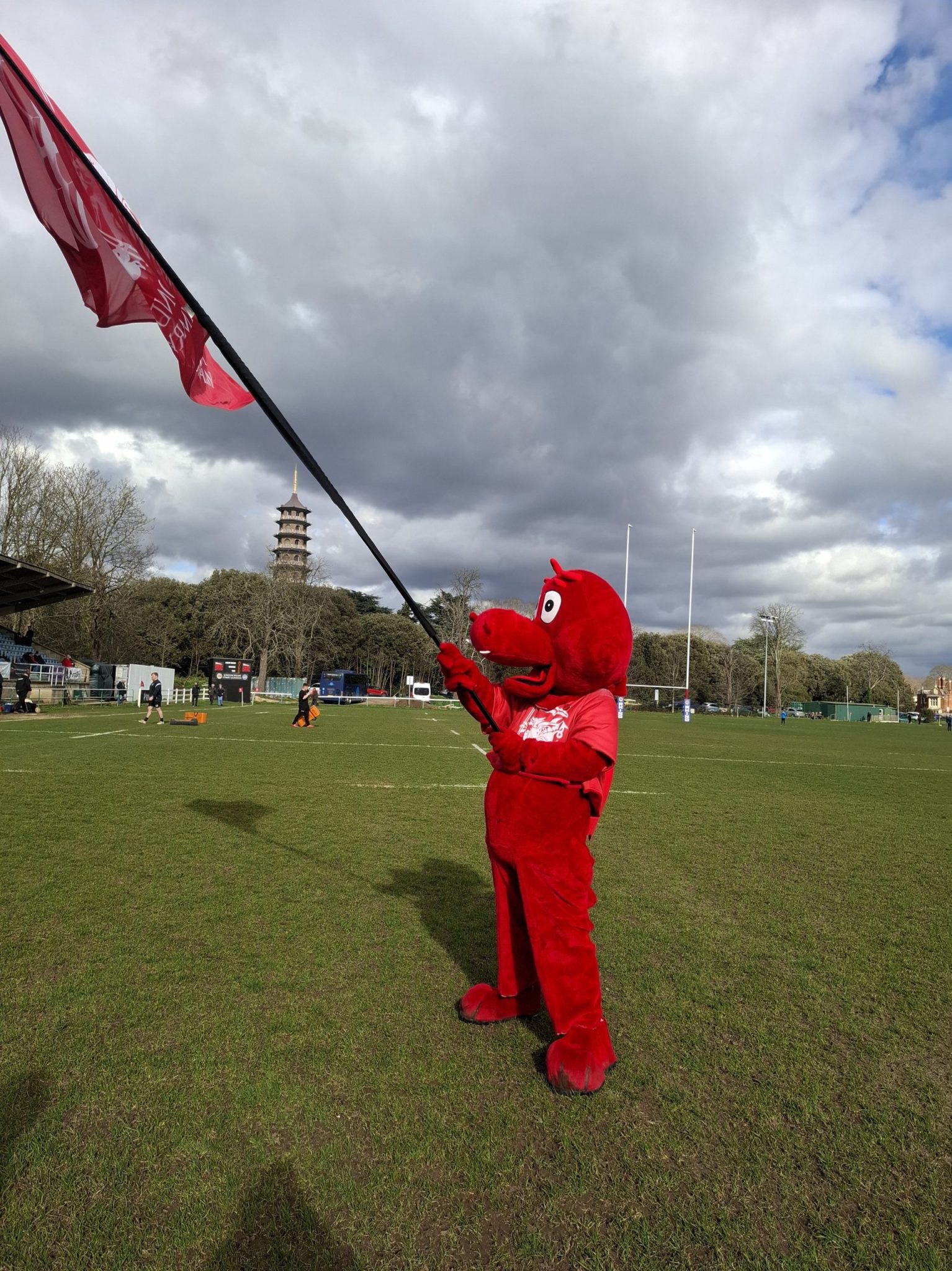 Having a 'Wales' of a time: St David’s Day brings Welsh cultural ...