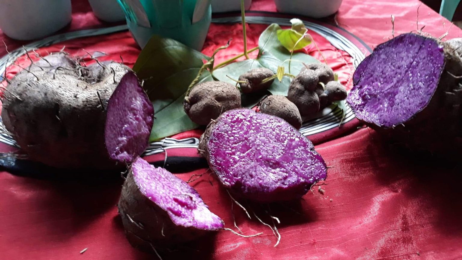 Yay for ube? Calls for authenticity in Starbucks and Costa spring menu ...