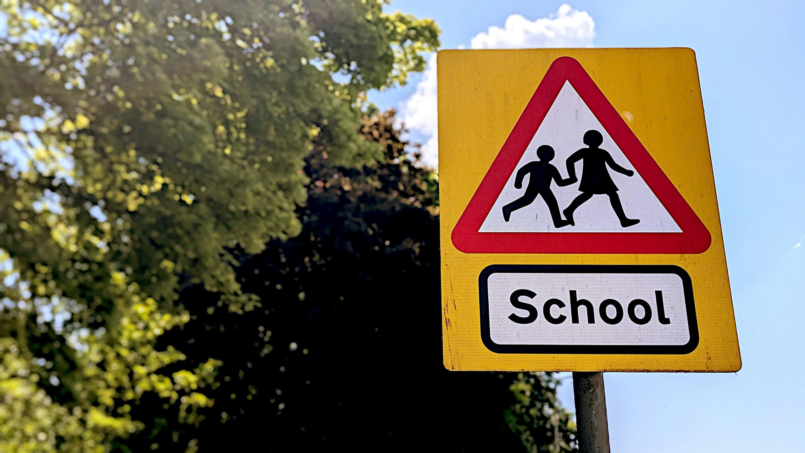 London school admissions system delivers record results as 98% secure ...